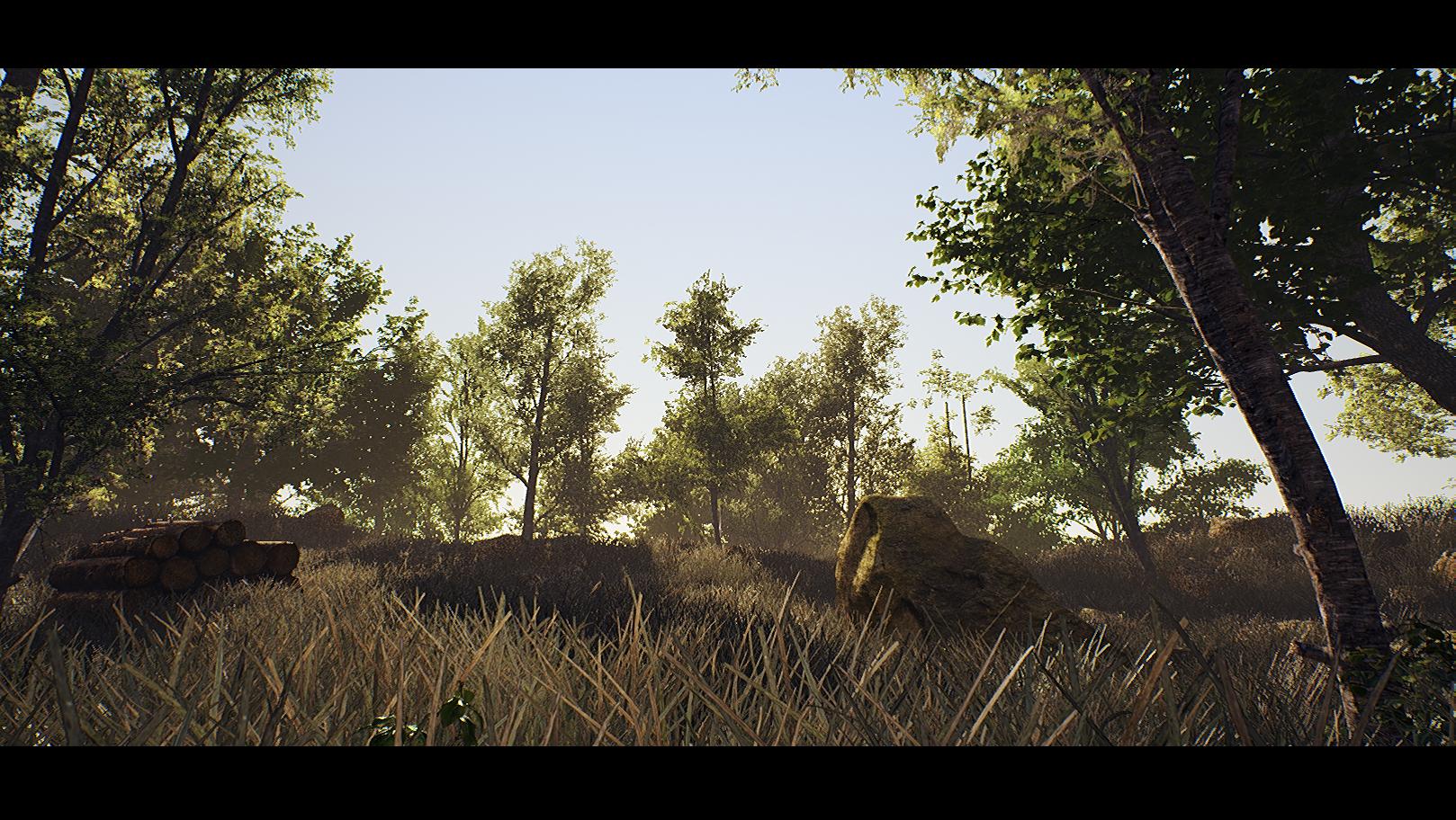 Creating Delicate Virtual Nature