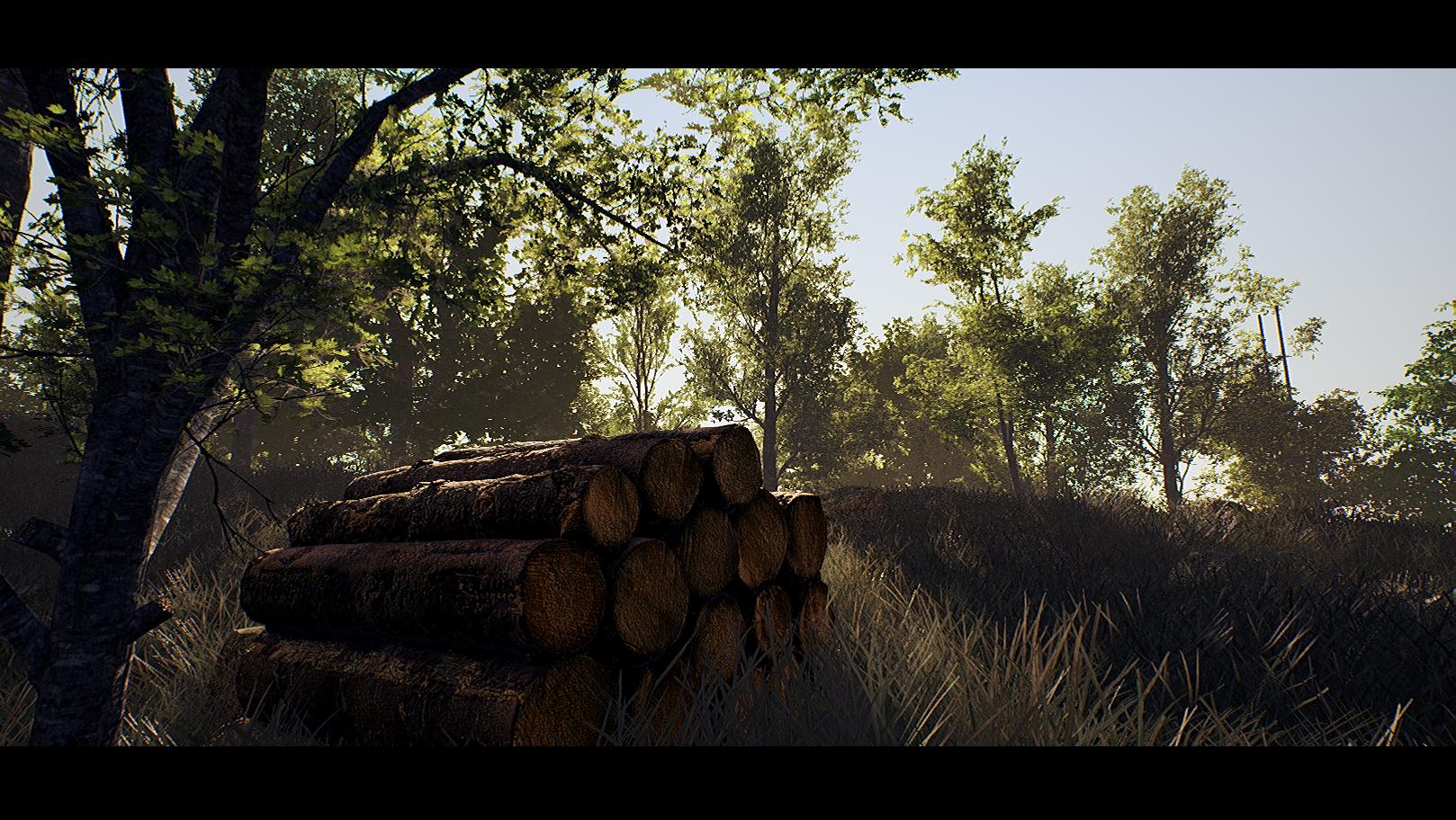 Creating Delicate Virtual Nature