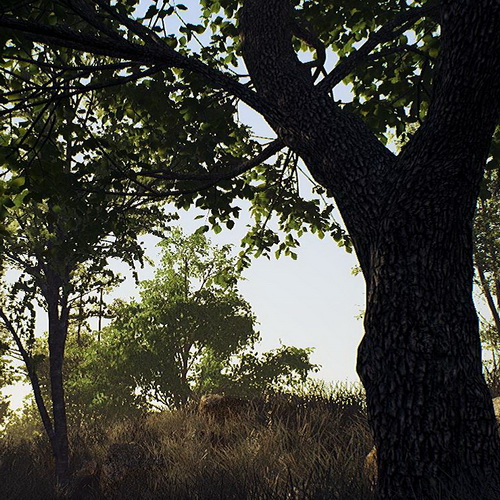 Leonardo Iezzi: Filling 3D Environments with Life