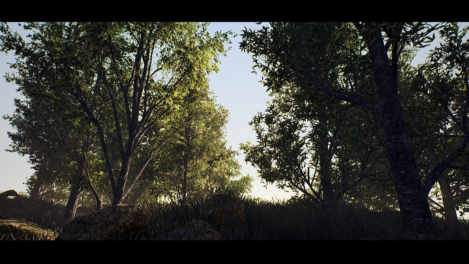 Creating Delicate Virtual Nature