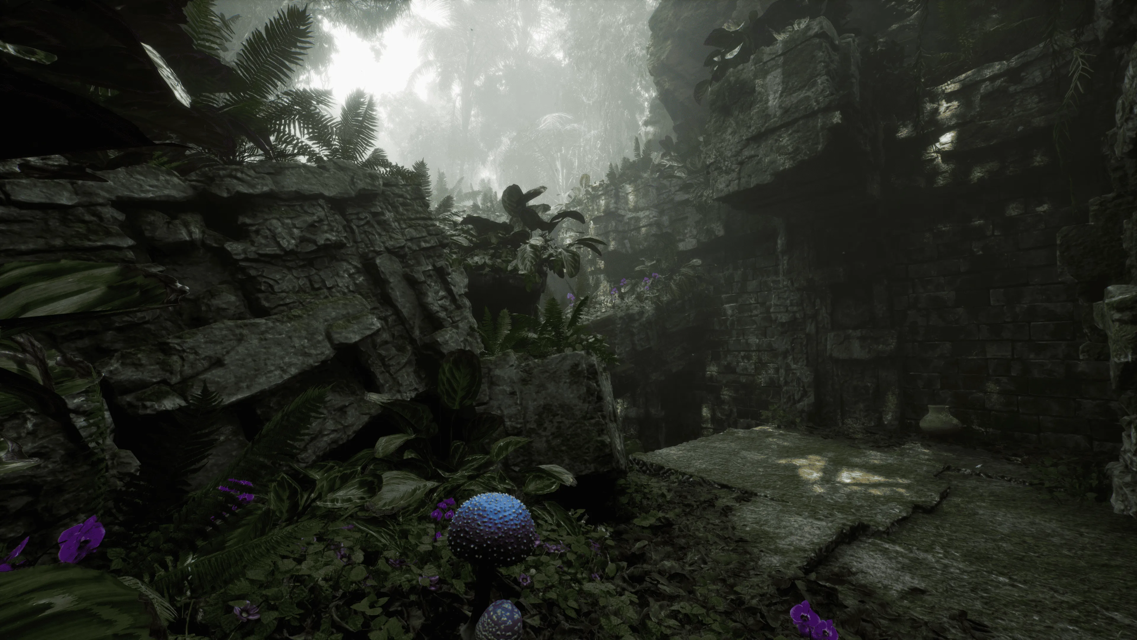 Xsolla Mall - Instinction