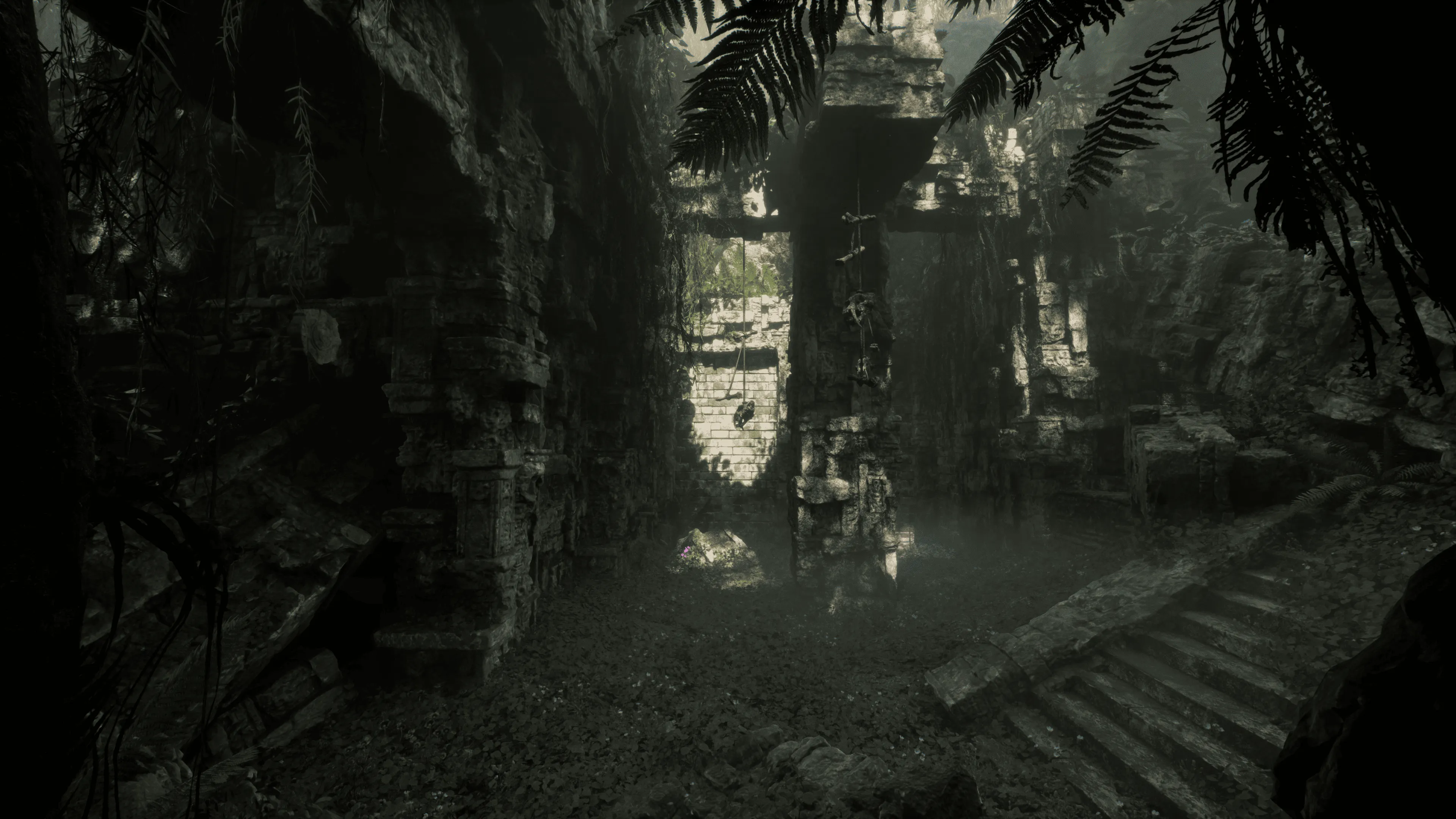 Xsolla Mall - Instinction