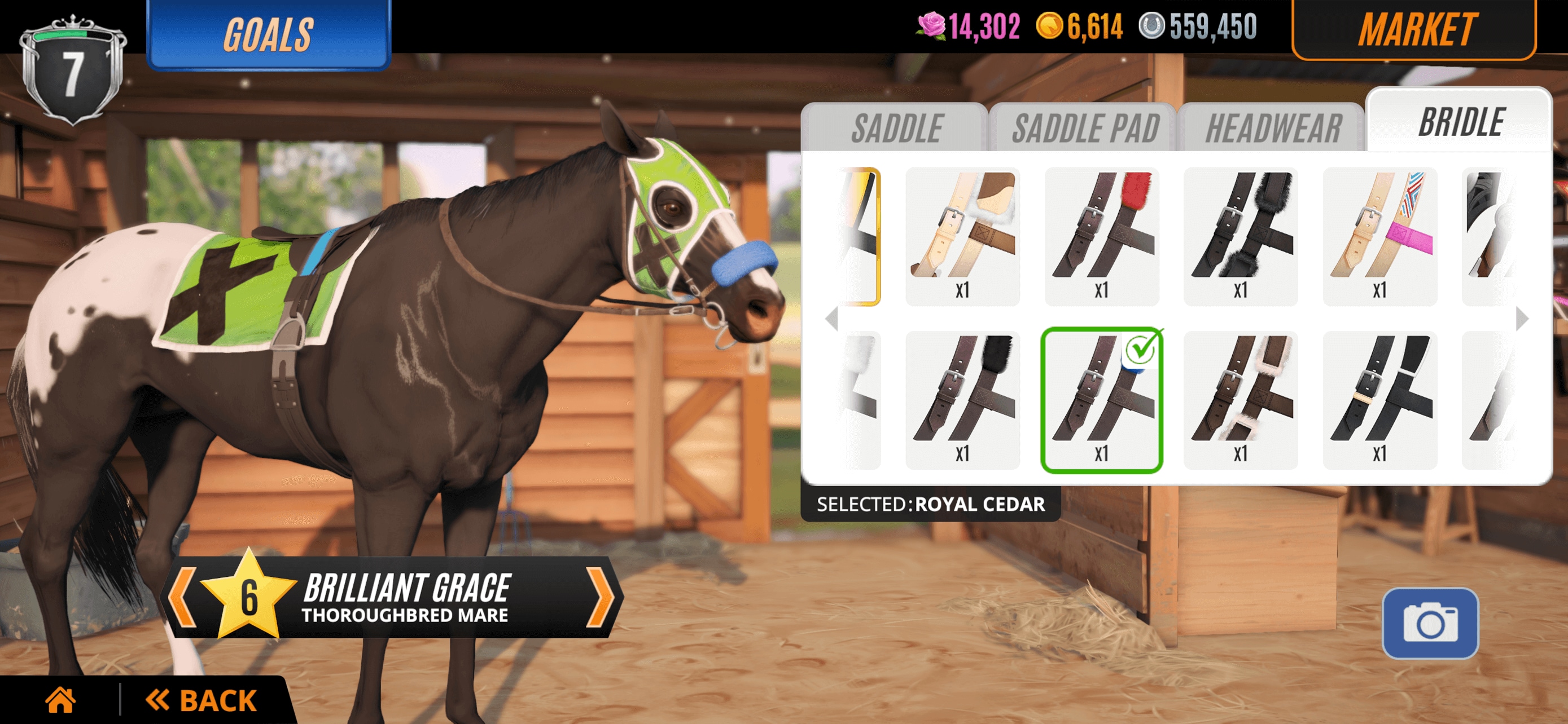 Xsolla Mall - Rival Stars Horse Racing